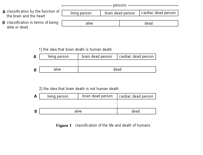 Brain Death as a Form of Human Relationships: "Brain Dead Person" Ch.1